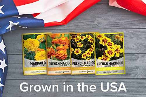Marigold Seeds for Planting Outdoors (4 Variety Pack) French Marigold Petite Mix, Dainty Marietta, Sparky, and African Marigold Seeds Crackerjack for Pollinators Wildflower Seed by Gardeners Basics