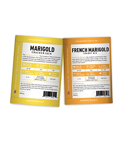 Marigold Seeds for Planting Outdoors (4 Variety Pack) French Marigold Petite Mix, Dainty Marietta, Sparky, and African Marigold Seeds Crackerjack for Pollinators Wildflower Seed by Gardeners Basics