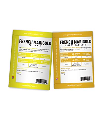 Marigold Seeds for Planting Outdoors (4 Variety Pack) French Marigold Petite Mix, Dainty Marietta, Sparky, and African Marigold Seeds Crackerjack for Pollinators Wildflower Seed by Gardeners Basics