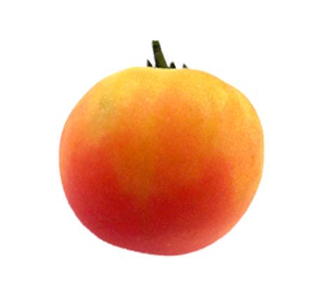 Garden Peach Heirloom Tomato Seeds - Non-GMO