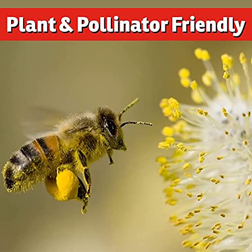 I Must Garden Mosquito Tick and Flea Control: Kills and Repels Biting Insects from Garden, Deck, Campsite β Natural and Pet Safe β 32oz Ready-to-Use Easy Spray Bottle