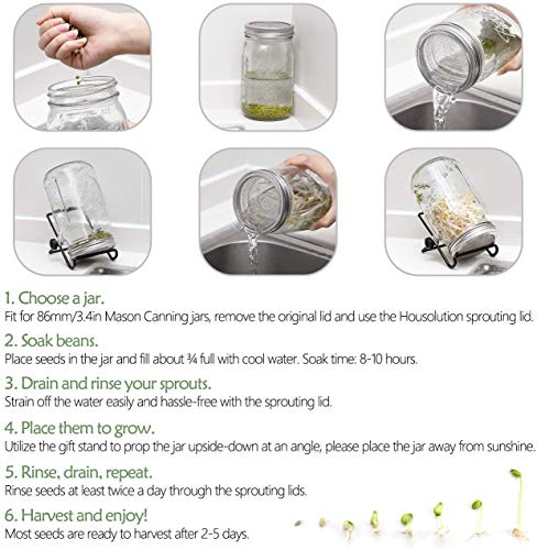 Seeds Sprouting Kit, 2-Pack Mason Jar Germination Growing Kit with Stainless Steel Mesh Lids and Stands, Wide Mouth Jars Germinator, Indoor Seed Sprouter Set for Broccoli Beans Microgreens Sprouts