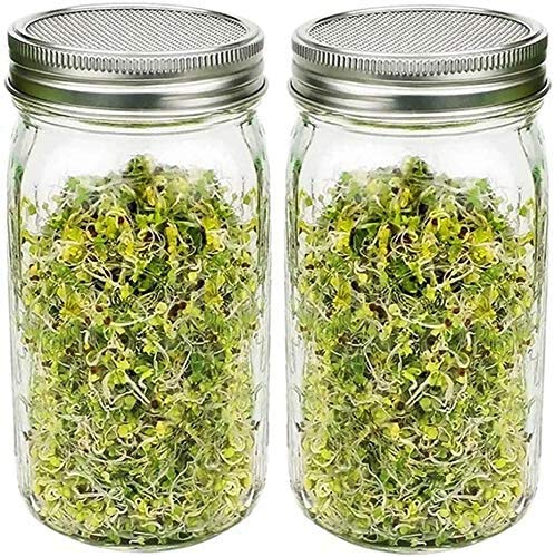 Seeds Sprouting Kit, 2-Pack Mason Jar Germination Growing Kit with Stainless Steel Mesh Lids and Stands, Wide Mouth Jars Germinator, Indoor Seed Sprouter Set for Broccoli Beans Microgreens Sprouts