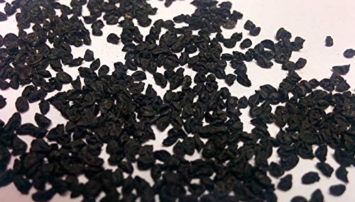 Leek Seeds “Carentan” – Full Leek Flavor with a Smaller Profile – Frost Tolerant | Seeds by Liliana's Garden |