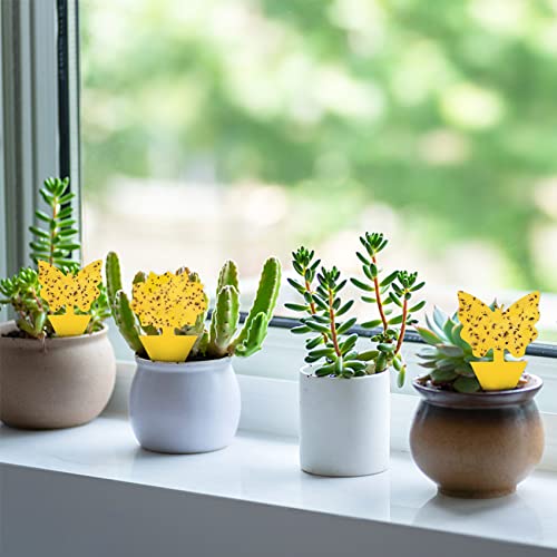 40 Pack Fungus Gnat Traps for House Indoor Yellow Sticky Traps for Plants, Dual-Sided Fungus Gnat Sticky Traps Fruit Fly Traps for Indoors