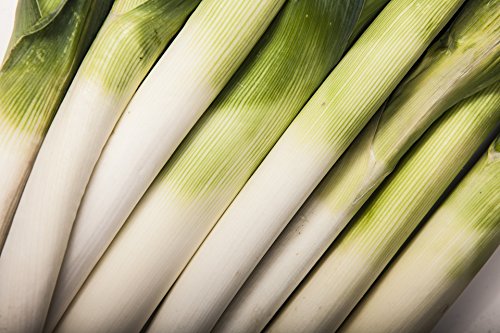 Leek Seeds “Carentan” – Full Leek Flavor with a Smaller Profile – Frost Tolerant | Seeds by Liliana's Garden |