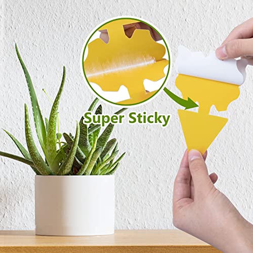 40 Pack Fungus Gnat Traps for House Indoor Yellow Sticky Traps for Plants, Dual-Sided Fungus Gnat Sticky Traps Fruit Fly Traps for Indoors