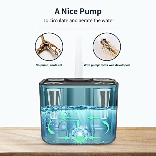Ahopegarden Indoor Garden Hydroponic Growing System with 60pcs Grow Sponges