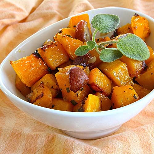 TomorrowSeeds - Jumbo Pink Banana Squash Seeds - 40+ Count Packet - Georgia Candy Roaster Big Sweet Butternut Pumpkin Winter Garden