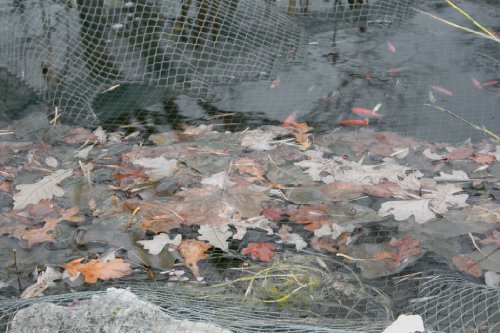 15 Feet x 12 Feet Pond Netting with Placement Stakes, Black Size: 15' x 12', Model: PT953, Home & Garden Store