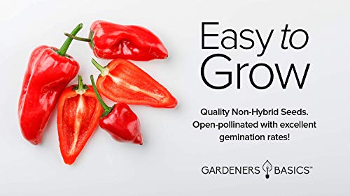 Serrano Pepper Seeds for Planting Heirloom Non-GMO Ancho Peppers Plant Seeds for Home Garden Vegetables Makes a Great Gift for Gardening by Gardeners Basics