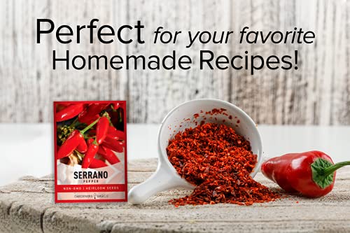 Serrano Pepper Seeds for Planting Heirloom Non-GMO Ancho Peppers Plant Seeds for Home Garden Vegetables Makes a Great Gift for Gardening by Gardeners Basics