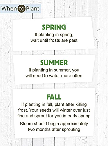 American Meadows Wildflower Seed Packets ''All Things Grow with Love'' Party Favors (Pack of 20) - Wildflower Seed Mix, Party Favors for Weddings, Valentine's Day, Anniversaries, Thank You