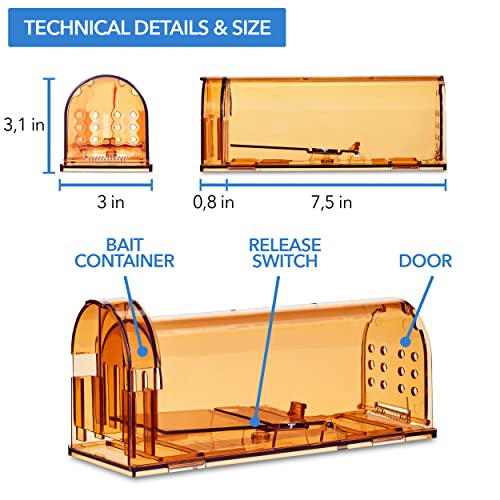 PATTLERĀ® - 2 PCS Humane Mouse Trap for Indoor and Outdoor Home - Mechanical Reusable Rat Trap That Still Alive for Catch and Release, Garden, Garage, Attic, Inn, Hotel Use