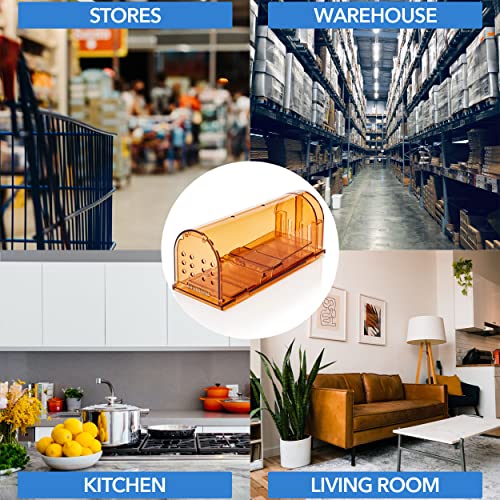 PATTLERĀ® - 2 PCS Humane Mouse Trap for Indoor and Outdoor Home - Mechanical Reusable Rat Trap That Still Alive for Catch and Release, Garden, Garage, Attic, Inn, Hotel Use