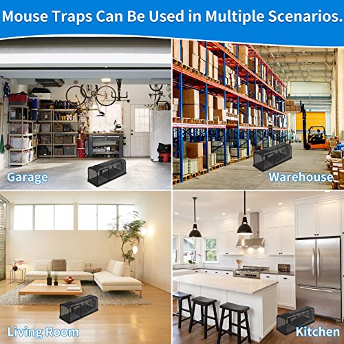 Humane Mouse Trap,Mice Traps for House Indoor Catch and Release for Home No Kill, Chipmunk Traps Live Rat Traps Indoor for Home Safe for Family and Pets No Touch, Best Mouse Traps for Home(6Pack)