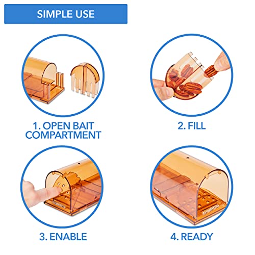 PATTLERĀ® - 2 PCS Humane Mouse Trap for Indoor and Outdoor Home - Mechanical Reusable Rat Trap That Still Alive for Catch and Release, Garden, Garage, Attic, Inn, Hotel Use