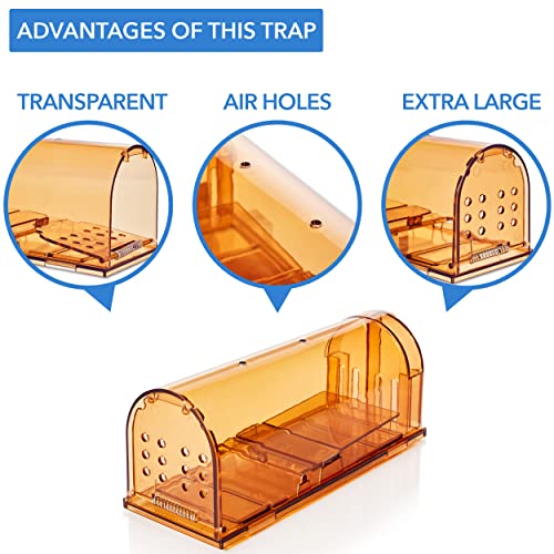 PATTLERĀ® - 2 PCS Humane Mouse Trap for Indoor and Outdoor Home - Mechanical Reusable Rat Trap That Still Alive for Catch and Release, Garden, Garage, Attic, Inn, Hotel Use