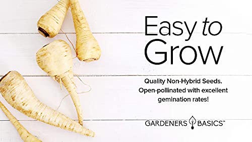 Parsnip Seeds for Planting - Harris Model Heirloom, Non-GMO Vegetable Variety- 1 Gram Approx 200 Seeds Great for Summer, Fall, and Winter Gardens by Gardeners Basics