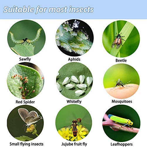Dwcom 20 Pack Sticky Fly Traps Hanging, Fly Paper Strips Fly Ribbon Catcher Gnat Mosquito for House, Kitchen, Bullpen, Stable, Pasture