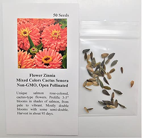 David's Garden Seeds Flower Zinnia Mixed Colors Cactus Senora FBA-7868 (Salmon) 50 Non-GMO, Heirloom Seeds