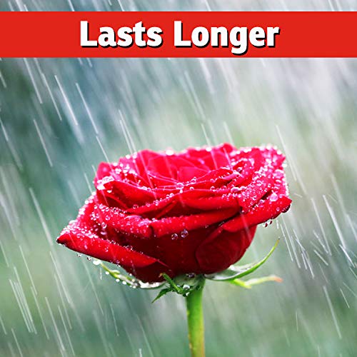 I Must Garden Groundhog/Woodchuck Repellent 1 Gallon Ready-to-Use Refill: All Natural Spray for Gardens, Plants, and Lawns β Pleasant Scent