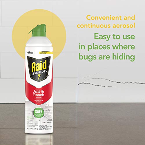 Raid Essentials Ant & Roach Killer Aerosol Spray, Child & Pet Safe, Kills Insects Quickly, for Indoor Use, 10 oz
