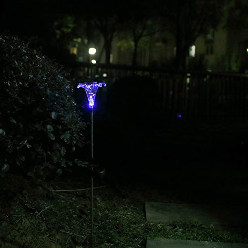 2PCS Waterproof Outdoor Solar Garden Stake Lights with Vivid Figurine β Lily LED Garden Landscape Lawn Lamp for Flower Beds Backyards Decoration
