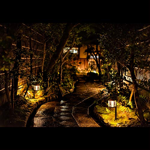SOLPEX Solar Garden Lights, Garden Lights Solar Powered, Waterproof Solar Yard Lights for Lawn, Patio, Yard, Pathway, Walkway and Driveway(2 Pack, Warm White)