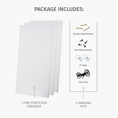PIXY CANVAS Value Pack of 3 Stretched Canvas 10x12 inch, 3/4 (0.75) inch deep for Your Paintings/Artwork/Wall Art/Wall Decor (Pack of 3 Canvas, 10 x 12 inch, Portrait)