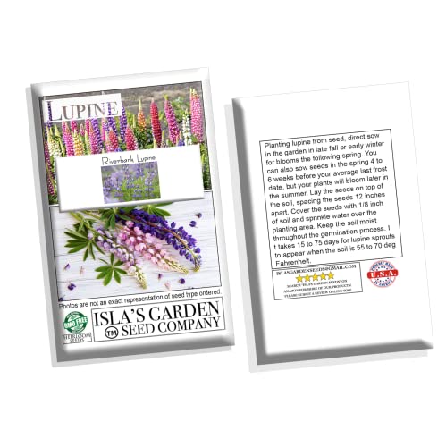 Riverbank Lupine Flower Seeds, 100+ Heirloom Seeds Per Packet, (Isla's Garden Seeds), Botanical Name: Lupinus rivularis, Non GMO Seeds