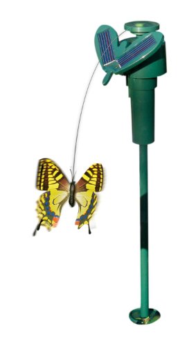 Solar Wobble Butterfly