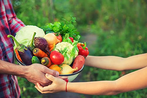 Vicky's Vegetable Garden Seed Kit | Grow 14 Different Types of Vegetables - Easy and Fun