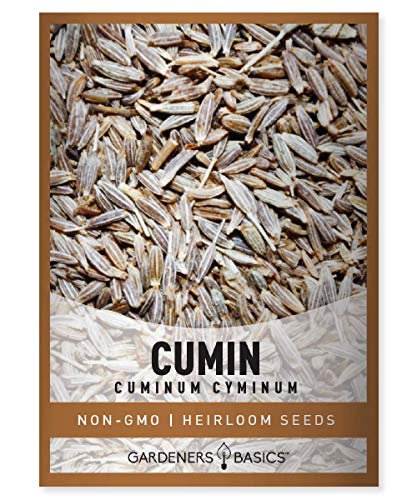 Cumin Seeds for Planting is A Heirloom, Non-GMO Herb Variety- Cuminum Cyminum Herb Seeds Great for Indoor and Outdoor Gardening by Gardeners Basics