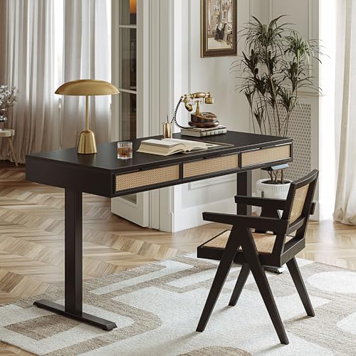 FEZIBO 55X26 Inches Boho Style Height Adjustable Electric Standing Desk with 3 Rattan Drawers, Stand up Desk with Large Storage Space, White(2 Packages)