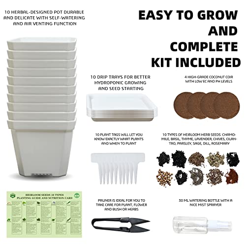 Herb Garden Windowsill Starter Kit - 10 Herb Indoor Kitchen Growing Herb Complete Set Including Everything for Beginner - DIY Garden Gifts for Kid Adult