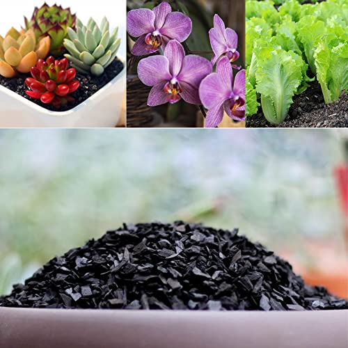 Horticultural Charcoal for Plants 2 qt by Doter, All Natural Hardwood Charcoal, Activated Charcoal for Soil Amendment, Orchids, Terrariums, and Gardening