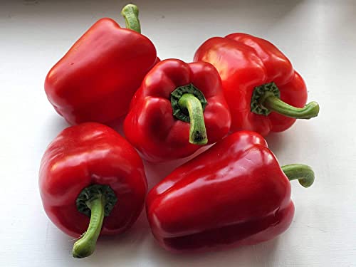 Big Red Bell Pepper Seeds for Planting, 50+ Heirloom Seeds Per Packet, (Isla's Garden Seeds), Non GMO Seeds, Botanical Name: Capsicum annuum, Great Home Garden Gift