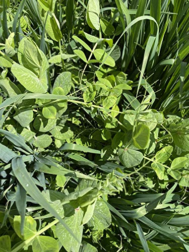 Cover Crop Seed Blend by Eretz (5lb) - Choose Size! Willamette Valley, Oregon Grown, Non-GMO, No Fillers, No Weed Seeds.