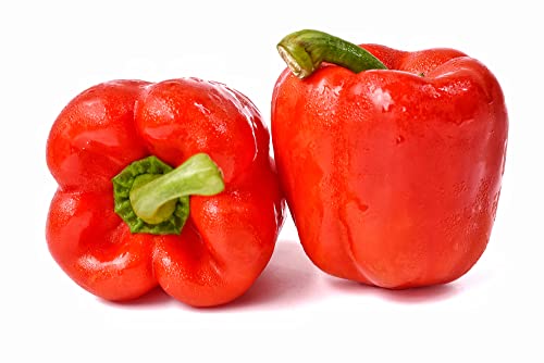 Big Red Bell Pepper Seeds for Planting, 50+ Heirloom Seeds Per Packet, (Isla's Garden Seeds), Non GMO Seeds, Botanical Name: Capsicum annuum, Great Home Garden Gift