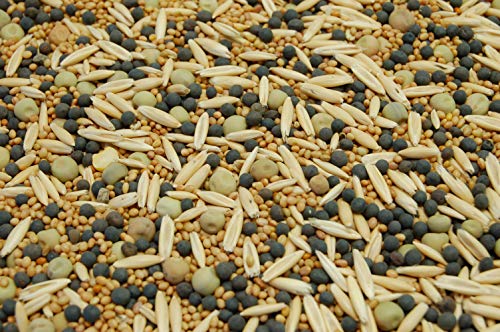 Cover Crop Seed Blend by Eretz (5lb) - Choose Size! Willamette Valley, Oregon Grown, Non-GMO, No Fillers, No Weed Seeds.