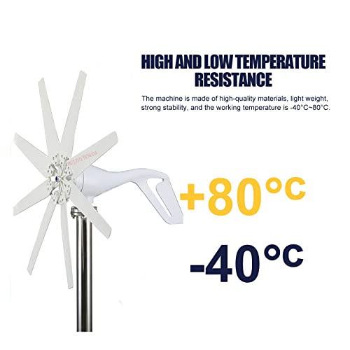 Vertical Garden Wind Turbine Generator, 2000W DC 12V 24V 48V Wind Turbine with Charge Controller for Home Or Industrial Energy(White),24v