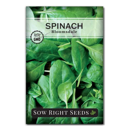 Sow Right Seeds - Bloomsdale Spinach Seeds for Planting - Non-GMO Heirloom Packet with Instructions to Plant and Grow an Outdoor Home Vegetable Garden - Vigorous Leafy Green - Wonderful Gardening Gift