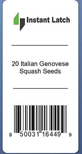 Instant Latch 20 Italian Genovese Squash | Non-GMO | Heirloom | Fresh Garden Seeds