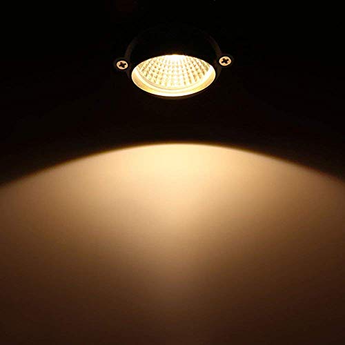 SUNRIVER Low Voltage Landscape Lights Led Landscape Lighting 6W Outdoor Landscape Lights 12V 24V Waterproof Landscape Spotlights for Yard, Lawn, Garden(6 Pack Warm White)