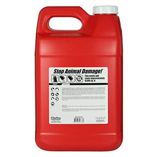 Animal Stopper Granular - Safe & Effective, Food Grade Ingredients; For use against Groundhogs, Rabbits, Skunks, Raccoons and Other Garden Animals; Ready to Use, 12 lbs