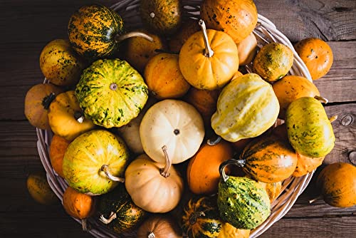 "Large Gourd Mix" Squash Seeds for Planting, 25+ Heirloom Seeds Per Packet, (Isla's Garden Seeds), Non GMO Seeds, Great Home Garden Gift, Decorative Squash Gourds