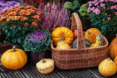 "Large Gourd Mix" Squash Seeds for Planting, 25+ Heirloom Seeds Per Packet, (Isla's Garden Seeds), Non GMO Seeds, Great Home Garden Gift, Decorative Squash Gourds