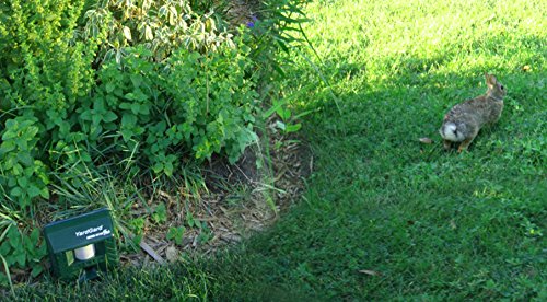 Bird-X Yard Gard Electronic Animal Repeller keeps unwanted pests out of your yard with ultrasonic sound-waves