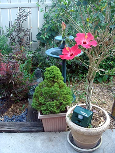 Bird-X Yard Gard Electronic Animal Repeller keeps unwanted pests out of your yard with ultrasonic sound-waves